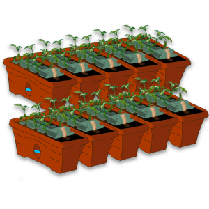 Grow Box Support Cage - Garden Patch