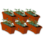 Grow Box Support Cage - Garden Patch