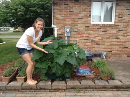 Garden Patch