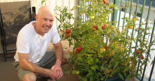 Balcony Vegetable Gardening: Grow Food in Small Spaces