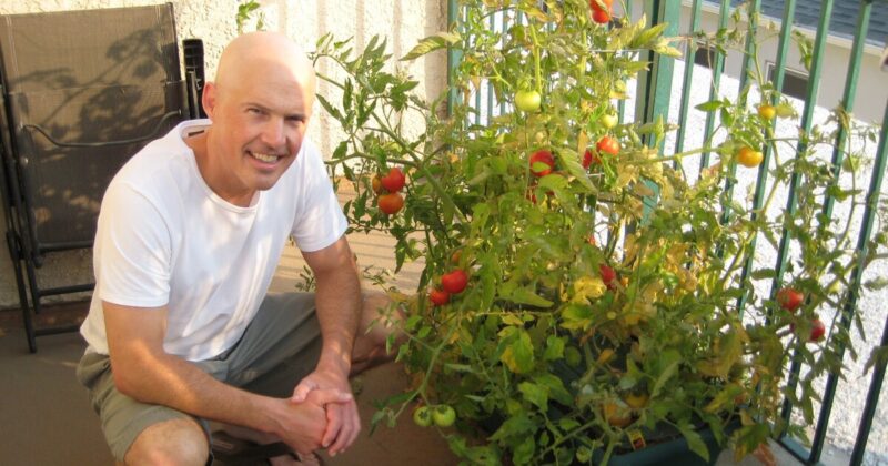 Balcony Vegetable Gardening: Grow Food in Small Spaces