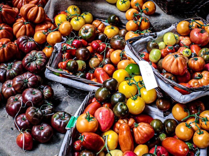 Understanding Nutrient Deficiency in Tomatoes - Garden Patch