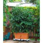 Grow Box Support Cage - Garden Patch