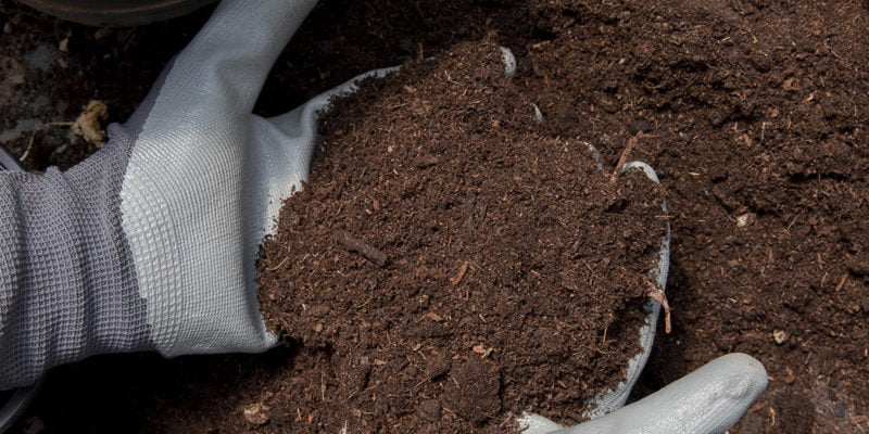 How Do Earthworms Help Your Soil? | Earthworms & Soil Health