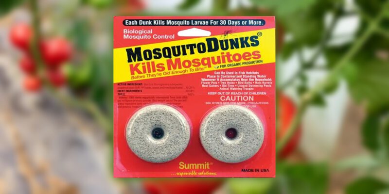 How Do Mosquito Dunks Work? What You Need To Know - Garden Patch