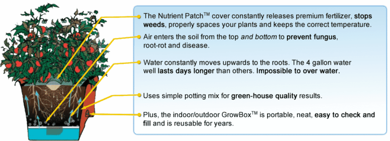 Garden Patch