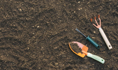 How To Turn Bad Soil Into Good Soil With 5 Simple Strategies