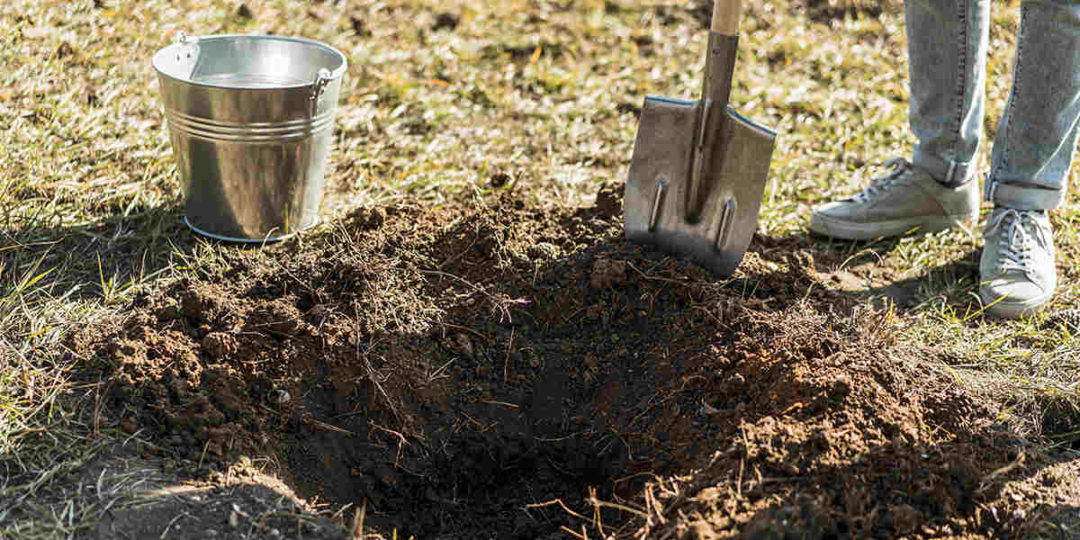 Soil Percolation: Why It's Important And How To Measure It