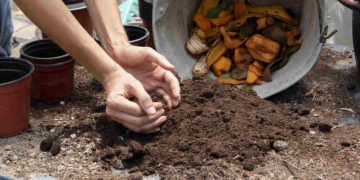 Soil Percolation: Why It's Important And How To Measure It