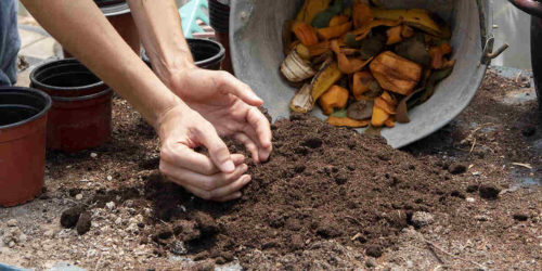 Soil Percolation: Why It's Important And How To Measure It