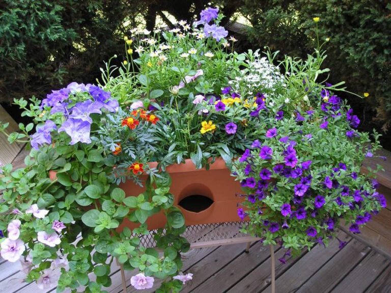 The Garden Patch GrowBox - Tomato Planter Container Garden