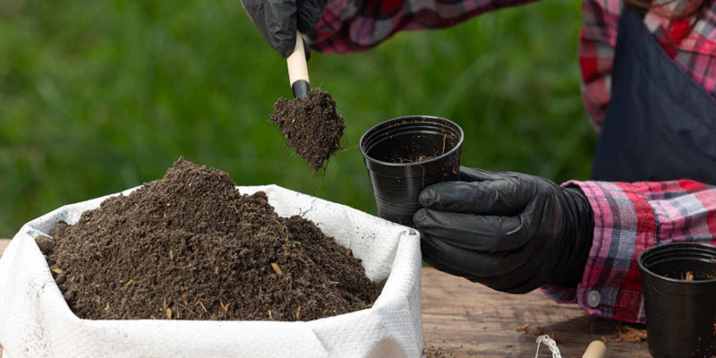 What Does A Soil Conditioner Do? How Does It Benefit Plants?